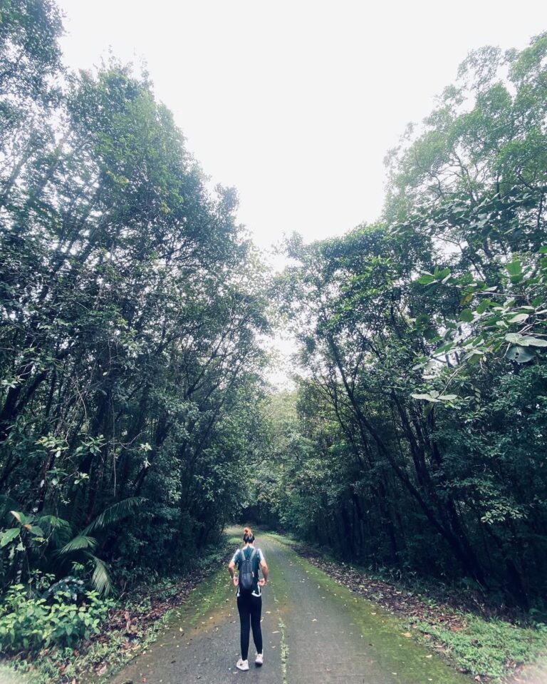 Top 20 hiking spots in Sarawak – Statos